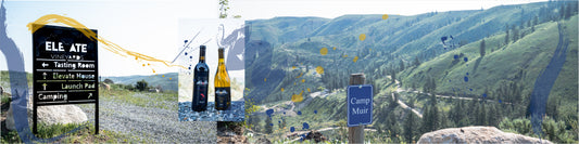 Origin Story – Elevate Vineyards